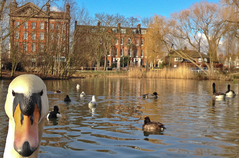 06. Community page – Barnes Primary School