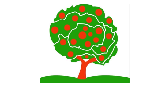 Our School – Barnes Primary School